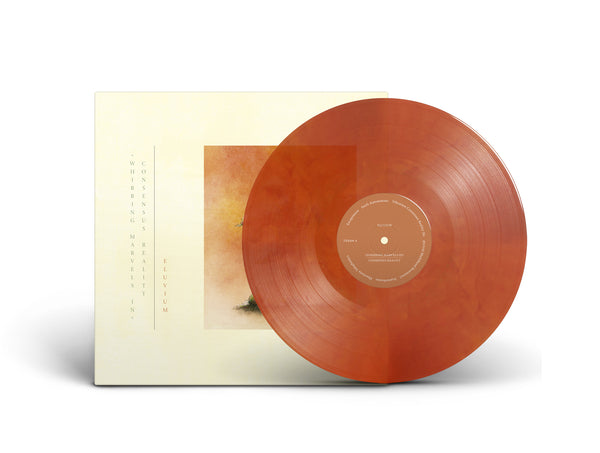 Eluvium – (Whirring Marvels In) Consensus Reality CD, LP, Digital Album ...